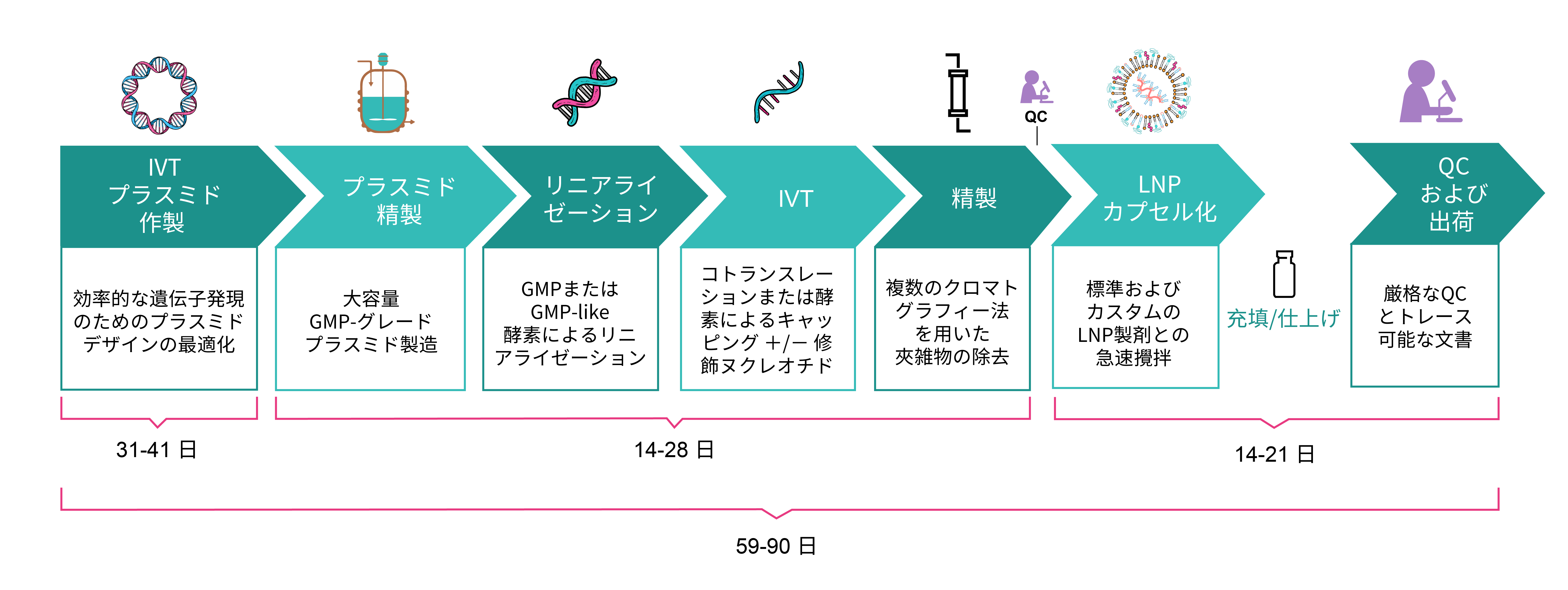 VectorBuilder | Revolutionize Your Cloning Experience